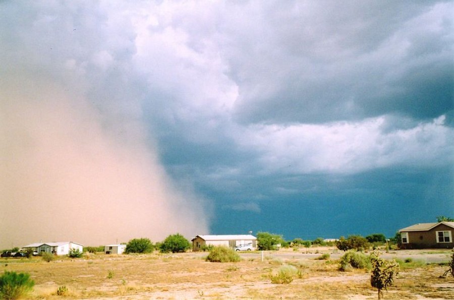 What are the health effects of dust storms?